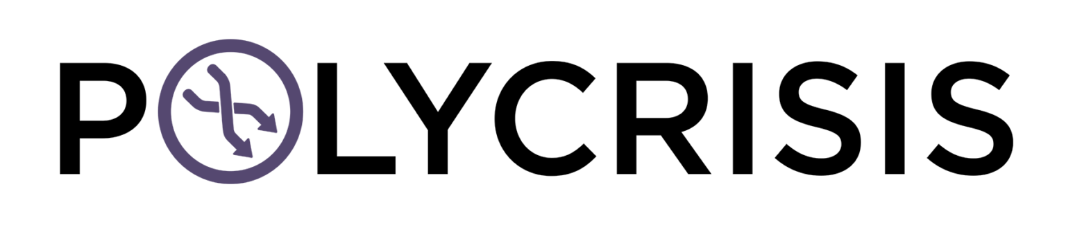 Understanding Polycrisis: Definitions, Applications, and Responses ...