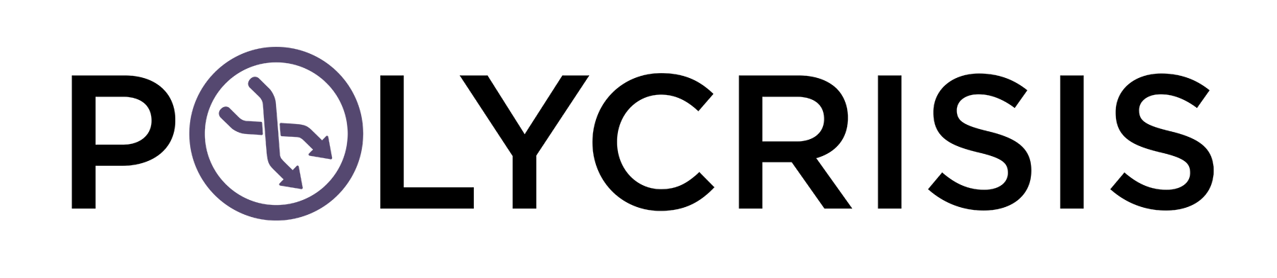 Understanding Polycrisis: Definitions, Applications, and Responses ...
