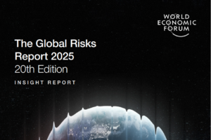 The Global Risks Report 2025 - Polycrisis
